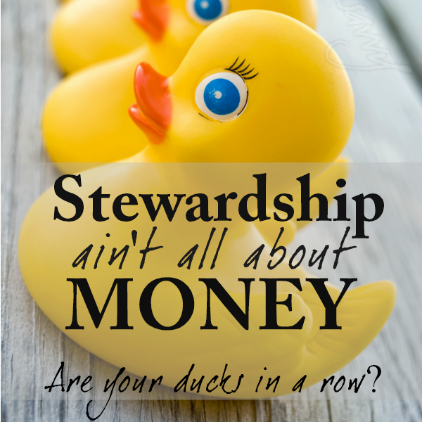 Stewardship Ain't All About Money | Stewardship at Home